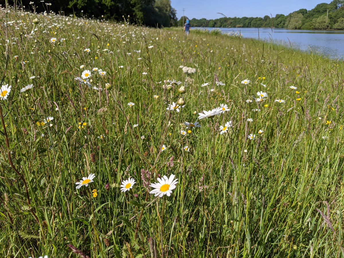 Online Training | National Plant Monitoring Scheme
